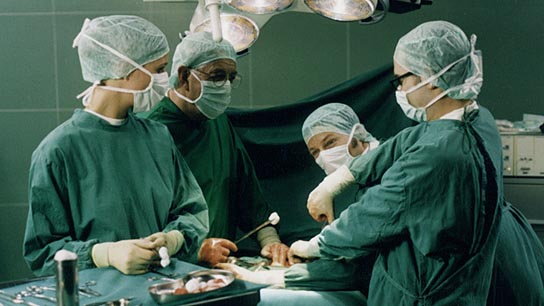 Das Taschenorgan | filmportal.de